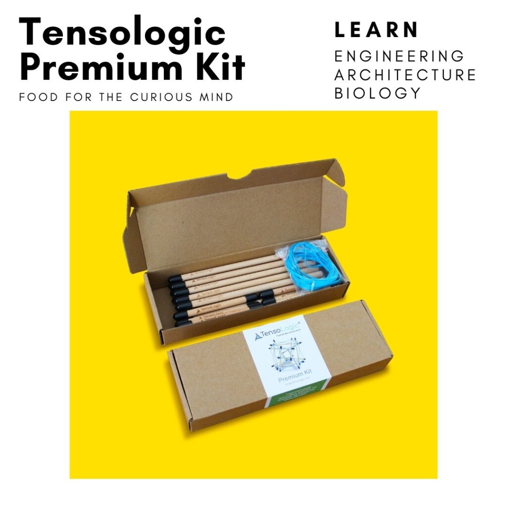 The Future of Architecture: Exploring Tensegrity Structures ...