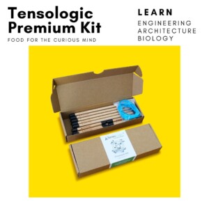 The Future of Architecture: Exploring Tensegrity Structures ...